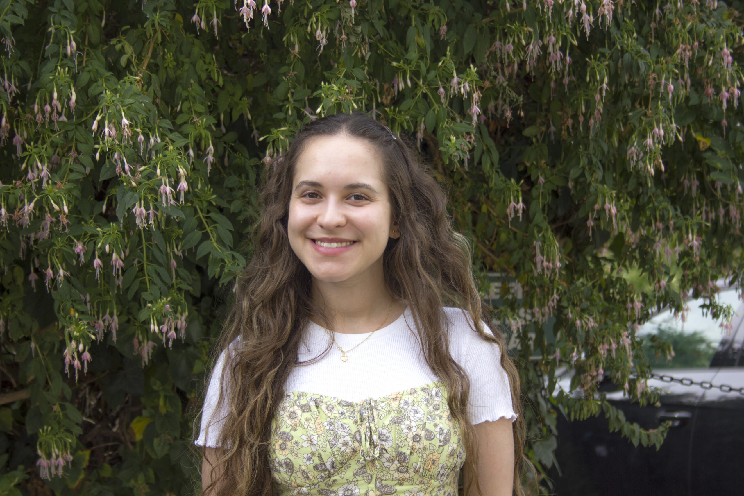 What is it like being a DfT SDIP intern? - Department for Transport Careers